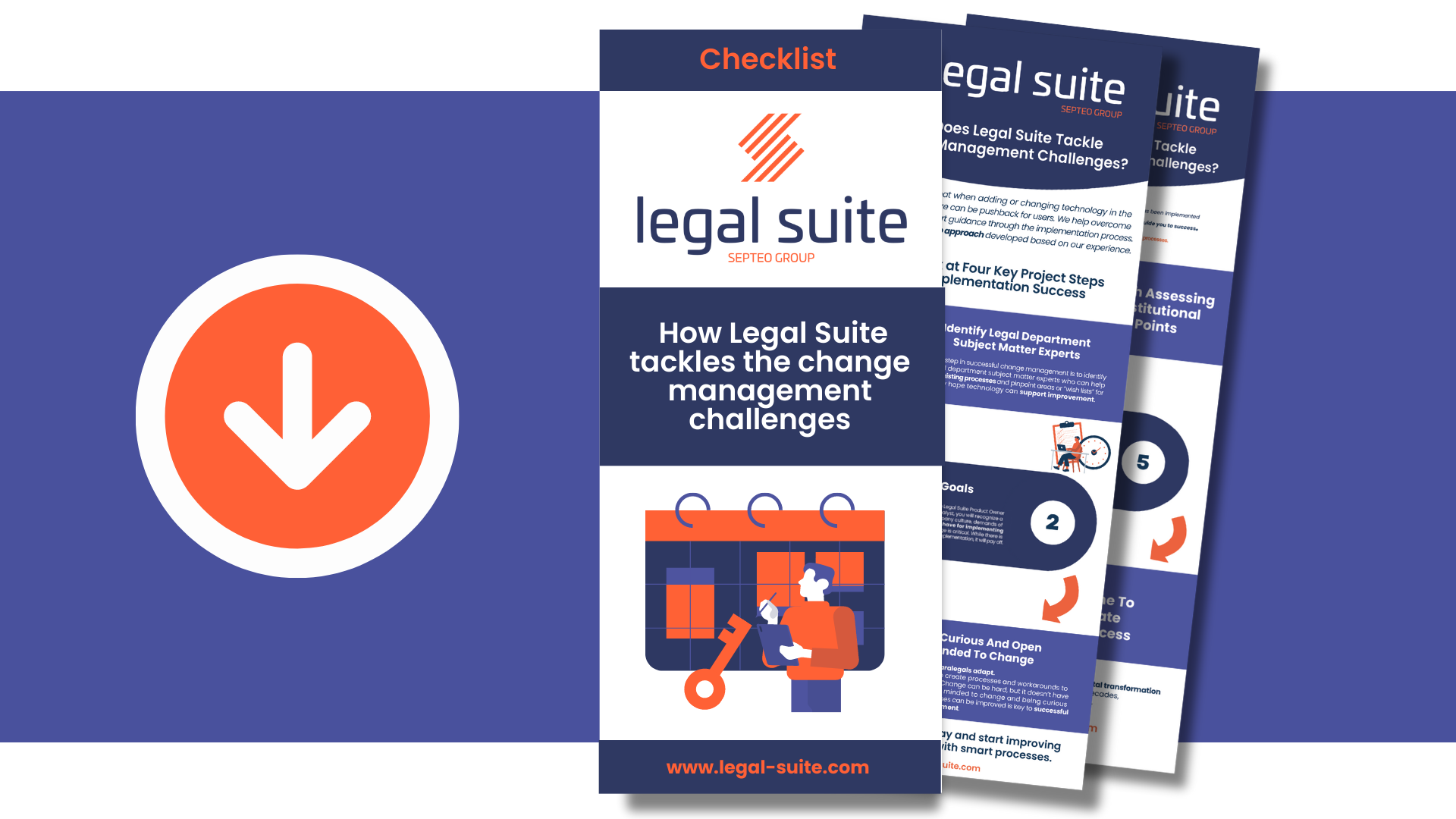 Infographic: Key Points to Achieve a Successful Software Implementation